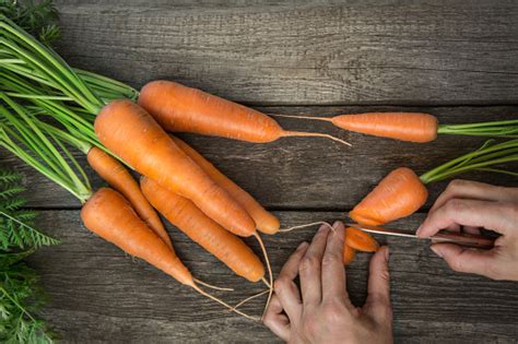 여성 나무 테이블에 녹색 상판과 신선한 당근을 잘라냅니다 텍스트에 대 한 공간을 복사 합니다 위에서 0명에 대한 스톡 사진 및 기타 이미지 Istock