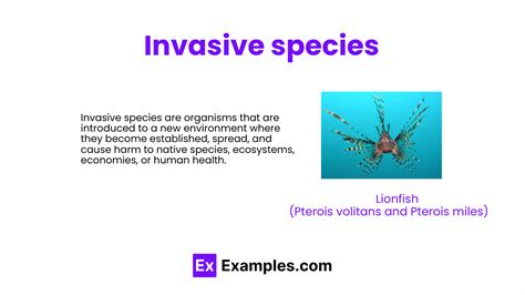 Invasive Species Definition Characteristics Examples Impacts
