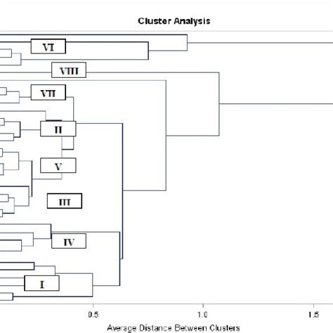 Dendrogram Showing Hierarchical Clustering Patterns Of 36 Dioscorea