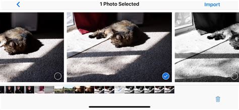 better image importing in ios 12 the digital story