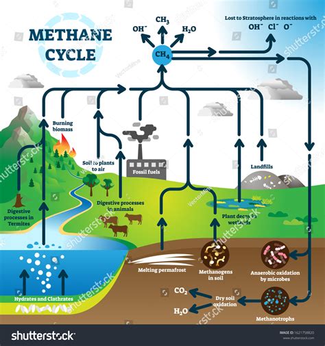 Methane Cycle Diagram Global Pollution Process Stock Vector Royalty Free 1621758820 Shutterstock