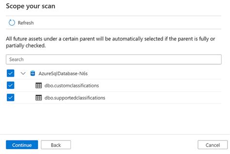 Microsoft Purview でazure Sql データベースを検出して管理する Microsoft Learn