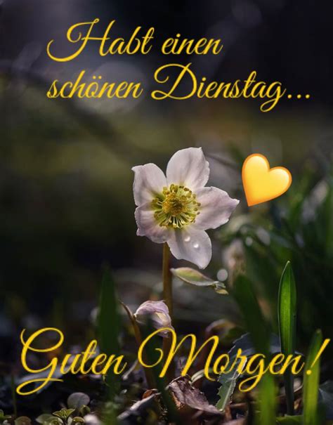 Guten Morgen Dienstag Guten Morgen Dienstag Guten Morgen Dienstag