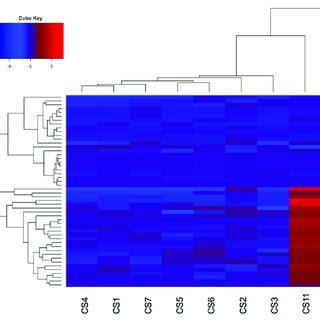 Unsupervised Principal Component Analysis PCA Performed On Intimal Download Scientific