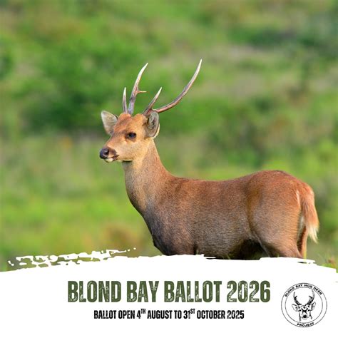 Xcalibre Gun Safety Our June 29 Class Is Fully Booked July 6th Is Now Open For Bookings So