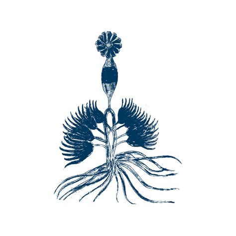 Winterspheres Brian Grainger