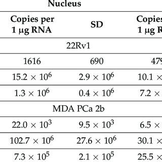 Transcript Copy Numbers In Whole Cell Cytoplasmic And Nuclear RNA Download Scientific Diagram