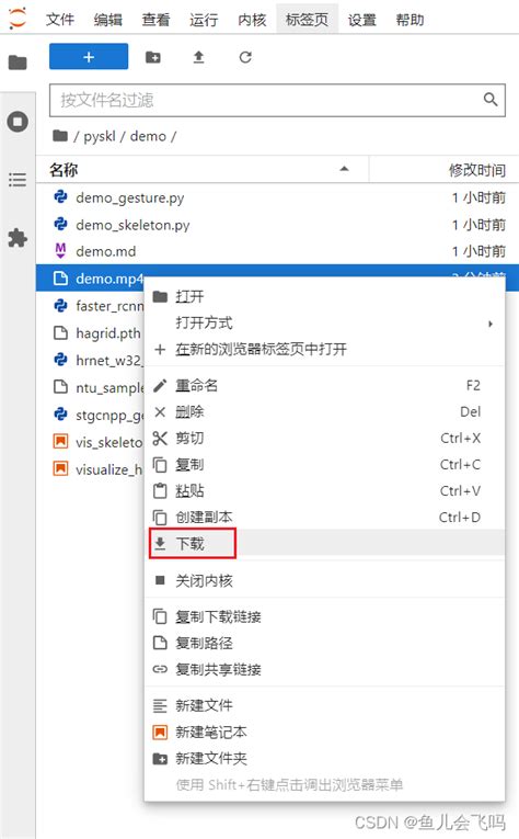 使用pyskl复现官方demo详细全流程 csdn博客