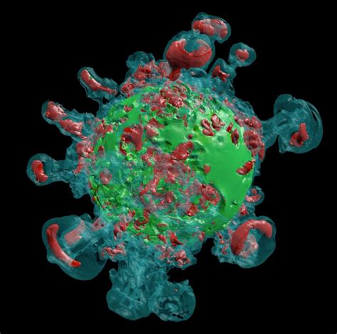 Ejecta Of Core Collapse Supernova Exascale Computing Project