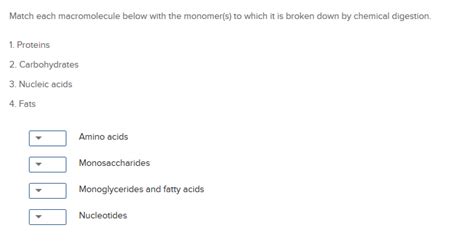 Solved Match Each Macromolecule Below With The Monomer S