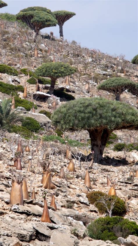 ПОХОДИ В ГОРИ СВІТУ 🏔️💙 Слідкуємо за трендами Instagram 🔥 2024 дякуємо за все 💙 за