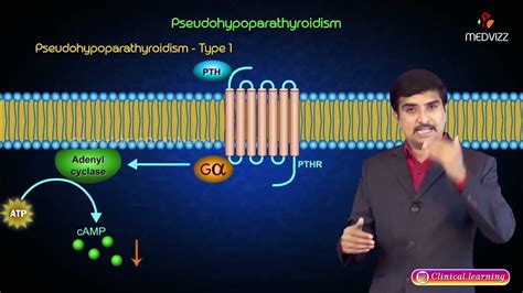 Pseudohypoparathyroidism Part 1 Pathology Youtube