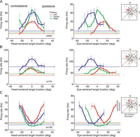 examples of neurons with head centered visual receptive fields and