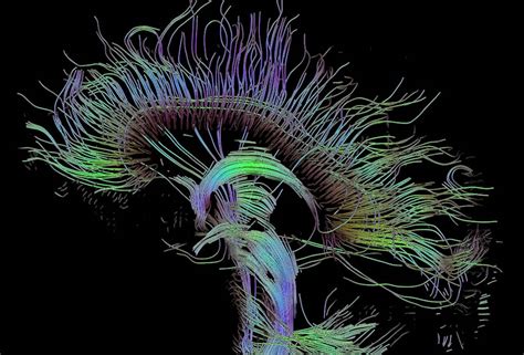 natural language analysis using hierarchical temporal memory o reilly