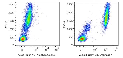 Alexa Fluor™ 647 Mouse Anti Human Arginase 1