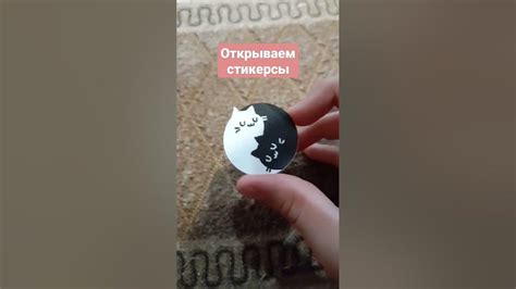 открываем новая коллекция магнит 2023 - YouTube