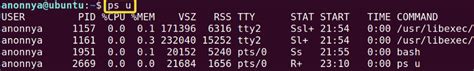 The Ps Command In Linux Practical Examples LinuxSimply