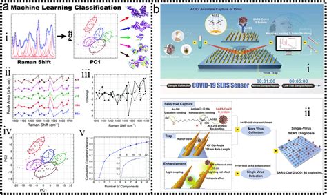 A Label Free Sers Detection Of Proteins Based On Machine Learning Download Scientific Diagram