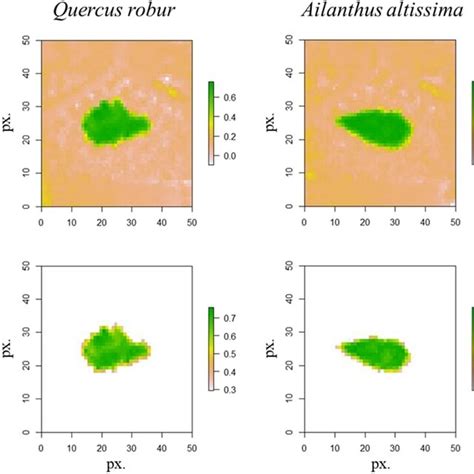 threshold segmentation for spectral feature extraction before a and