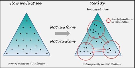 Metapopulation Structure Methods Blog