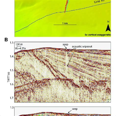 A Three Dimensional Visualization Of Seep Bubble Plumes Detected In Download Scientific