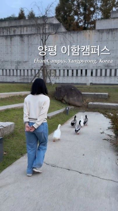양평 이함캠퍼스 나들이 🌿 Youtube
