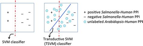 Transductive Support Vector Machine Svm For Transfer Learning The