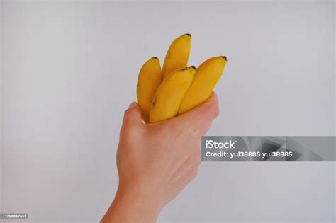 흰색 배경에 손에 미니 바나나 작은 노란색 바나나 워프 바나나 건강한 노란색 잘 익은 과일 건강한 생활방식에 대한 스톡 사진 및 기타 이미지 Istock