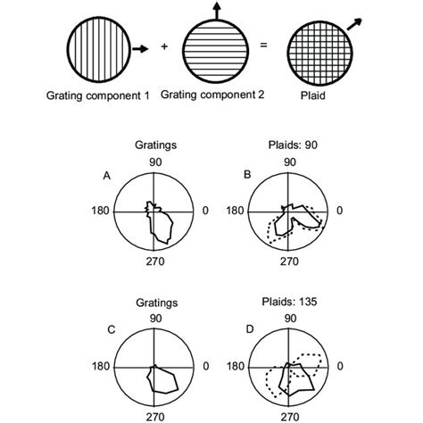 3 Directional Selectivity Of Component Direction Selective Neurons And