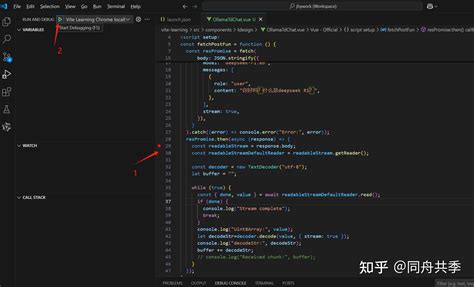 17、vue：vscode调试vue项目 知乎