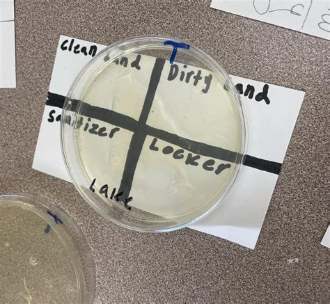 How Do We Talk To Girls About STEM NMC S Center For Teaching And Learning