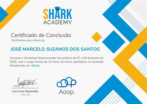 Servicenow Developer Certificate Sharkacademy Backend Growtogether José Marcelo Suzano