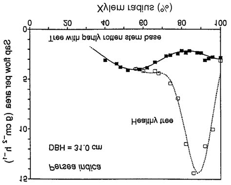 Radial Pattern Of Sap Flow In The Persea Indica Tree Dbh 310 Cm