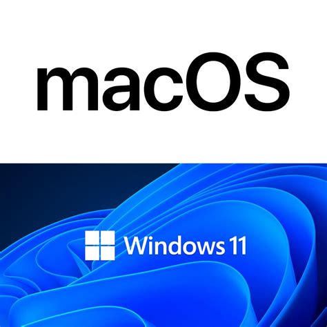 excel for mac vs windows the programs comparison royalcdkeys