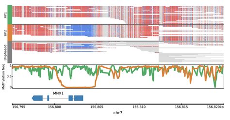 新工具：轻松可视化基因组，部分功能超igv～ 比igv更牛的基因组可视化工具gw Csdn博客