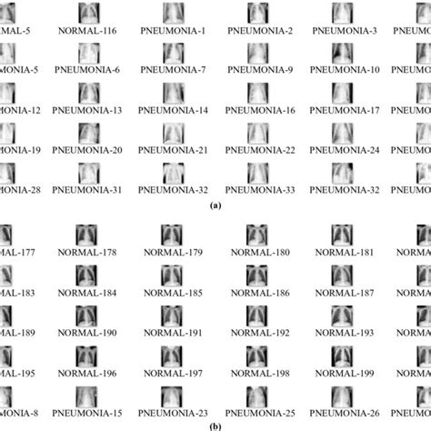 the classified images by spectral clustering for each folder a