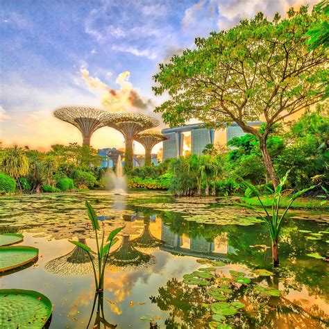 Halara Singapore All You Must Know Before You Go 2024