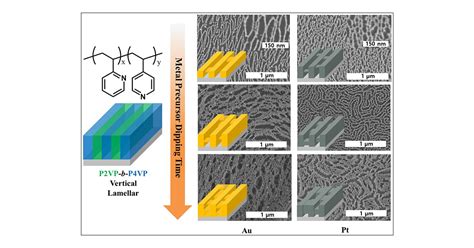 Three Dimensional Nanoporous Metal Structures From Poly2 Vinylpyridine