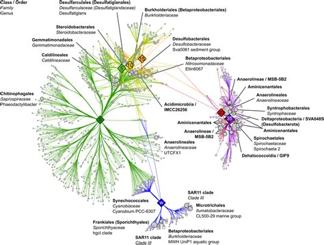 bacterial genera associated with the different depths of the sediment