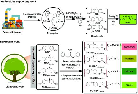 A Previous Work By The Group On The Synthesis Of Mbc Diol From Download Scientific Diagram