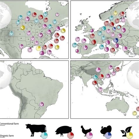Patterns Of Antimicrobial Resistance In Enterococcus The Prevalence Of