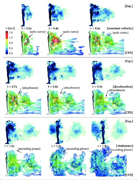 Comparisons Of Vortex Structures Of The Slim Manikin From The Smoke