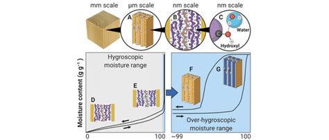 Primary Driving Force In Wood Vacuum Drying