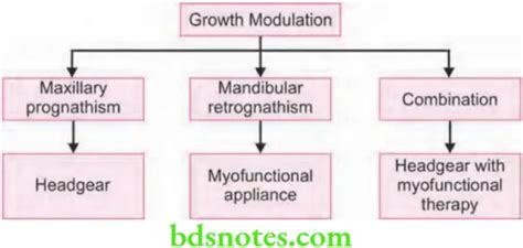 Orthodontics Management Of Class 2 Malocclusion Question And Answers Bds Notes
