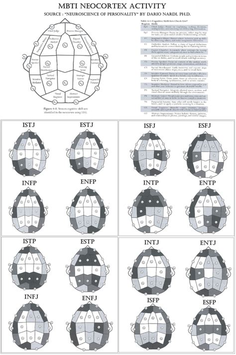 Brain Activity Of Mbti Types I Gathered The Different Eegs From The
