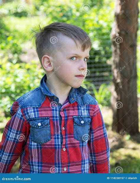 De Zes Jaar Oude Jongen Bekijkt Askance De Lens In De Tuin Stock Afbeelding Image Of Koptekst