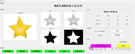 【水果分级】基于计算机机器视觉的杨桃分级系统附含matlab代码 Csdn博客