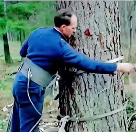 A TREE CLIMBING TOOL INVENTED IN One News Page VIDEO