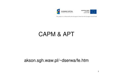 Capm And Apt