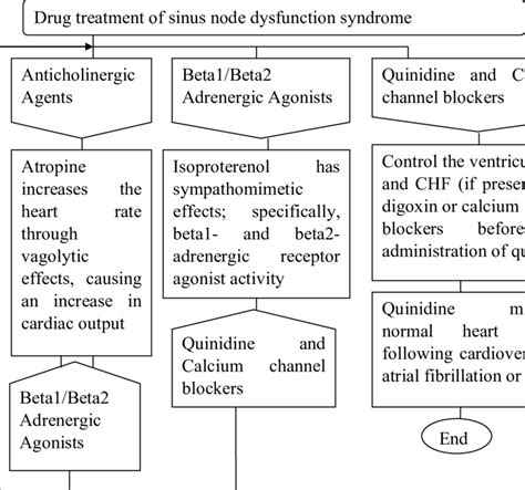 Drug Treatment Of Sinus Node Dysfunction Syndrome Algorithm For Making